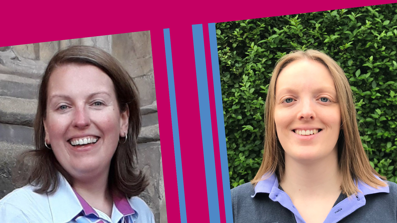 Introducing soon-to-be chief commissioner Elaine’s new assistants ...