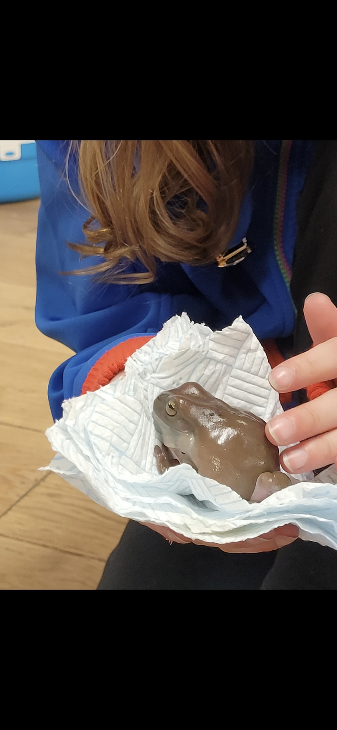 Angela Pllu - Girlguiding Scotland